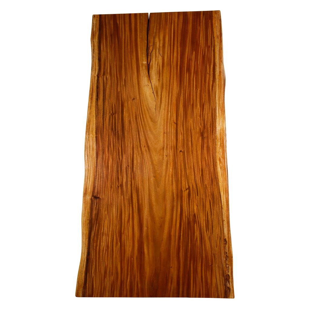 Saman Natural Wood Art – TP9 – House of Whitley