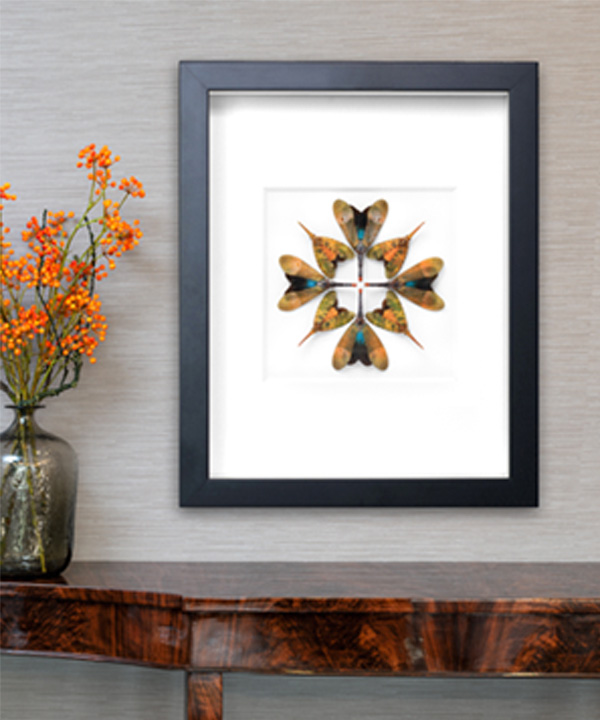 Green River Fossils, Christopher Marley, Naval Binoculars