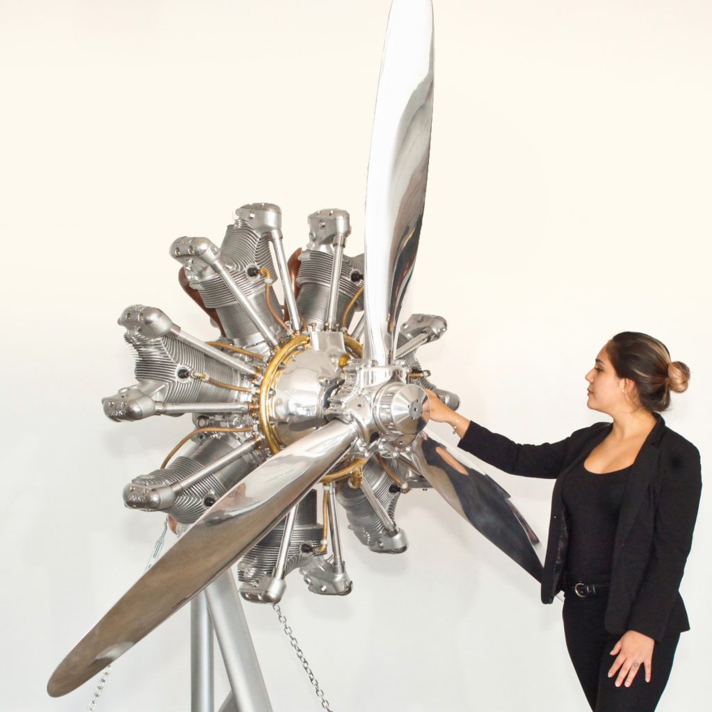 Jacobs 7 Cylinder Radial Engine – House of Whitley