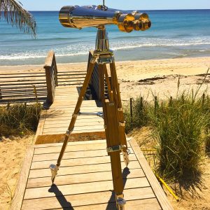 Custom 20×120 Big Eye Binocular – House of Whitley