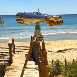 Big Eyes Binoculars – House of Whitley