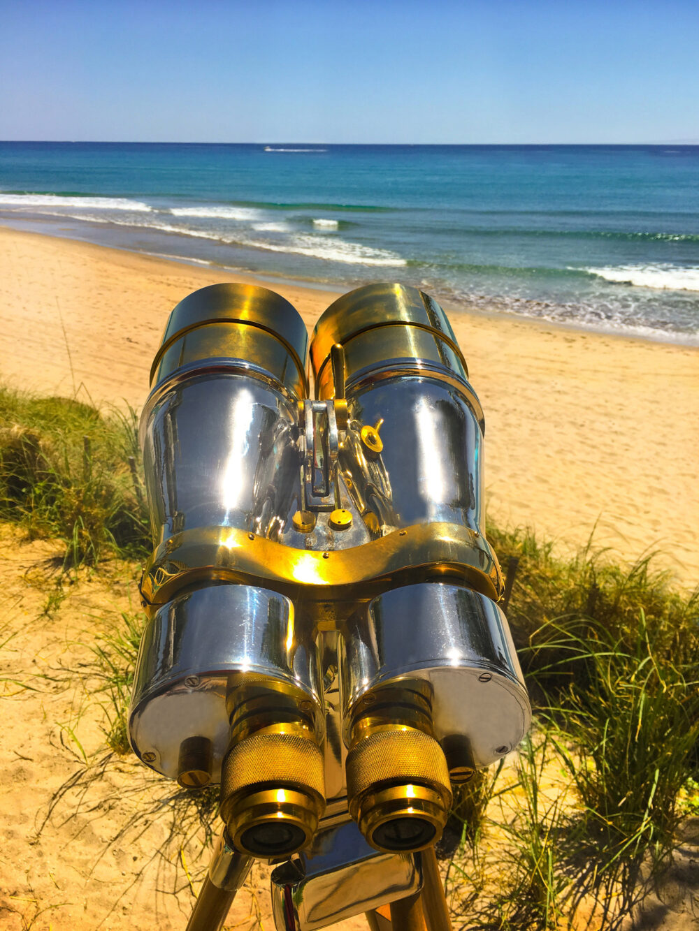 Custom 15×100 Big Eye Binocular – House of Whitley