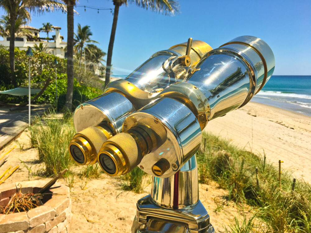 Custom 15×100 Big Eye Binocular – House of Whitley