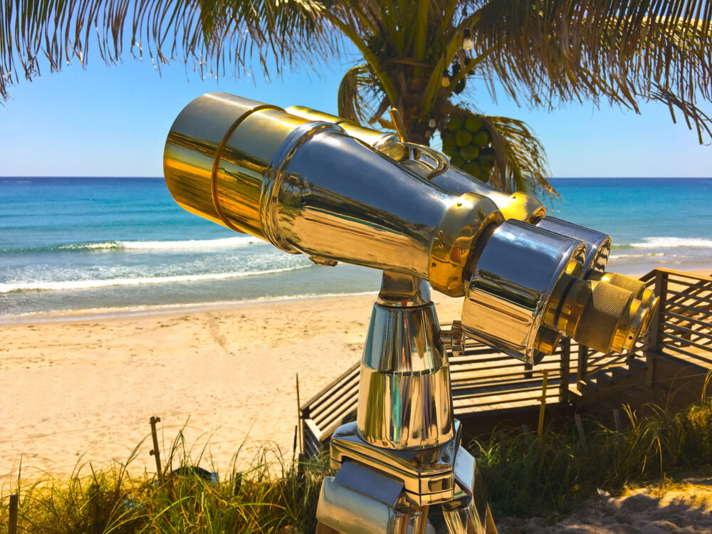 Custom 15×100 Big Eye Binocular – House of Whitley